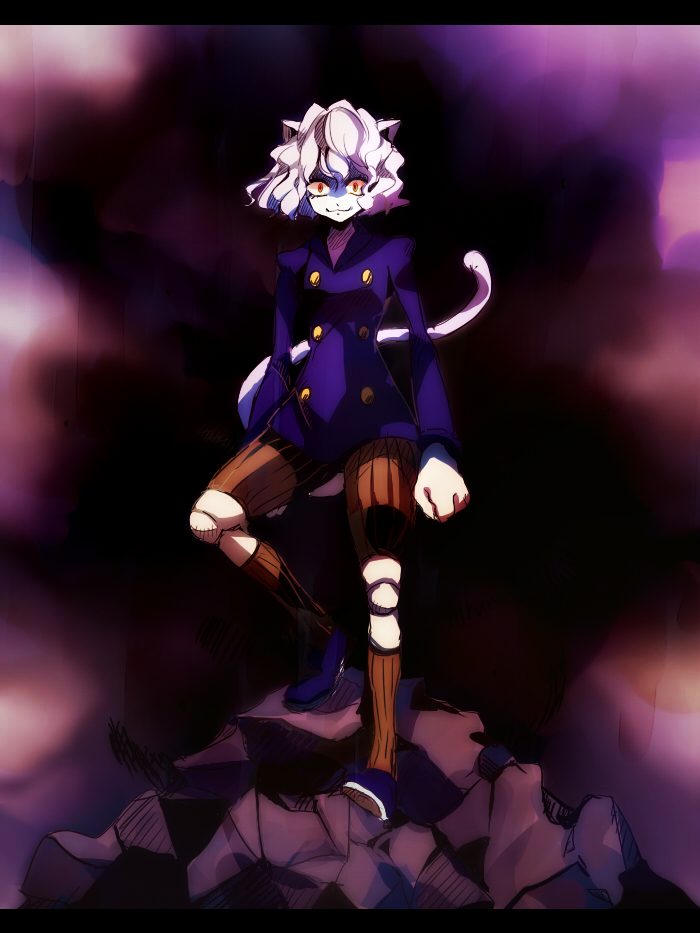 Safebooru - animal ears cat ears cat tail curly hair hunter x hunter ...