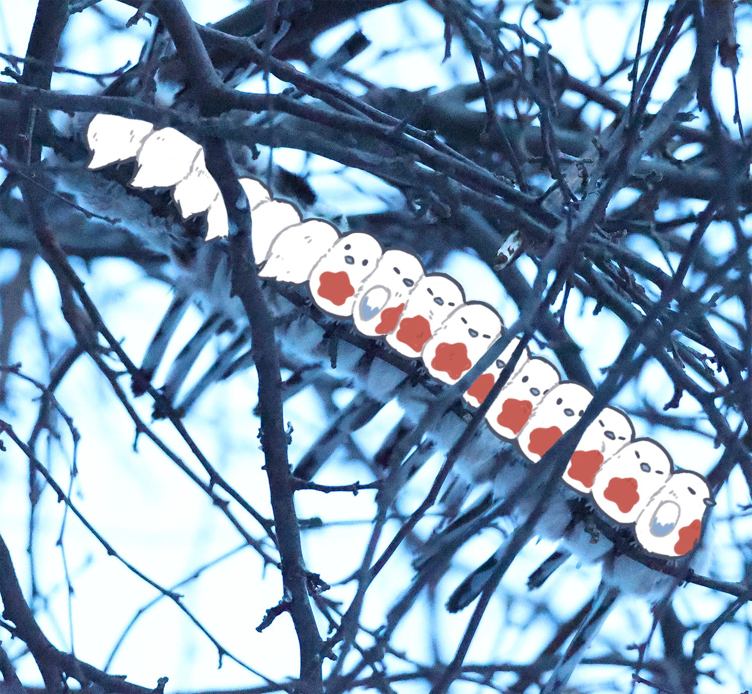 Safebooru - animal focus bare tree beak bird branch closed eyes day ...