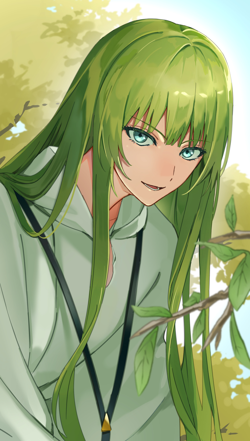 Safebooru - 1other androgynous branch commentary request day enkidu ...