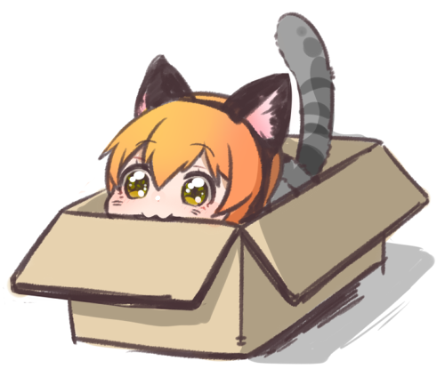 Safebooru - 1girl :3 animal ears box cardboard box cat ears cat tail ...