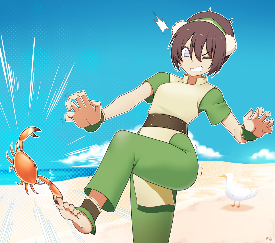 Safebooru 1girl Avatar The Last Airbender Barefoot Beach Bird Black 0148