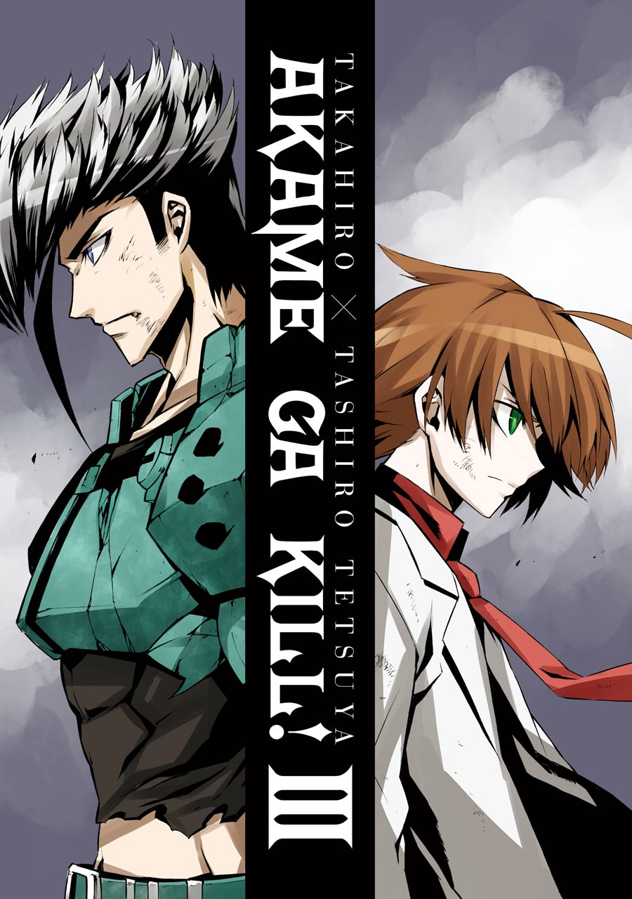 Safebooru - akame ga kill! akame ga kill! extra covers armor black hair ...