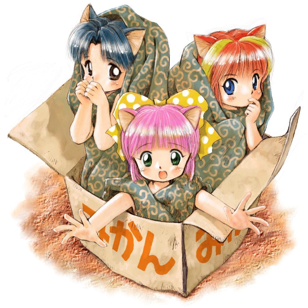 Safebooru - animal ears black hair blue eyes bow box brown eyes ...