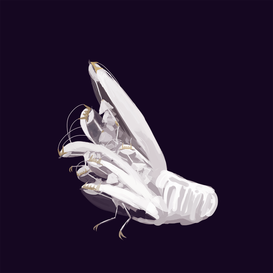 Safebooru - antennae blue background blush closed eyes cockroach cocoon ...