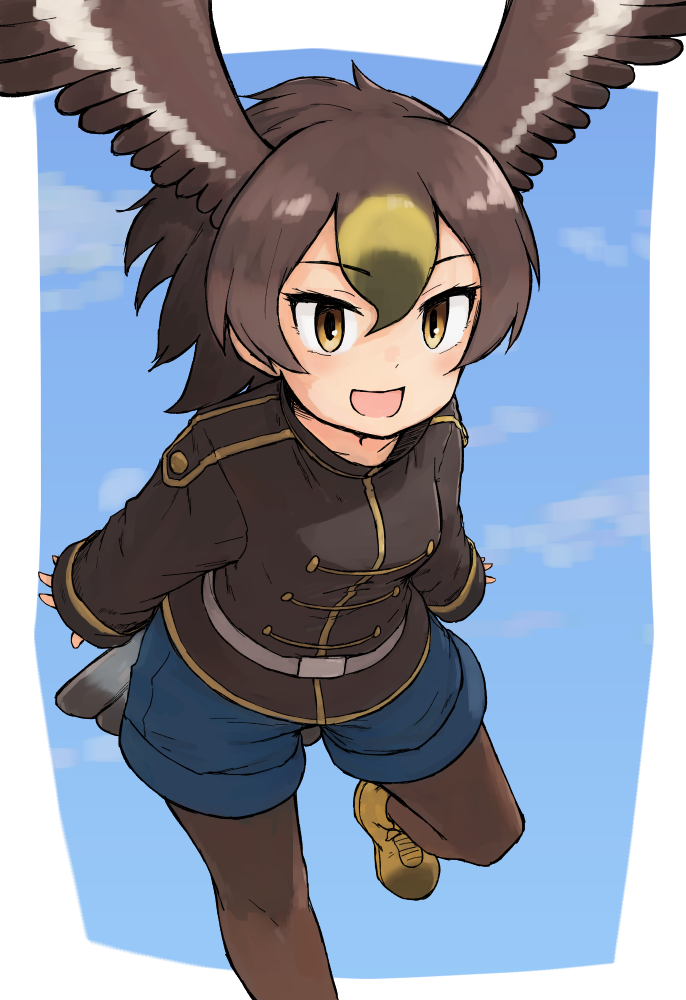 Safebooru - 1girl blonde hair brown hair feathered wings golden eagle ...