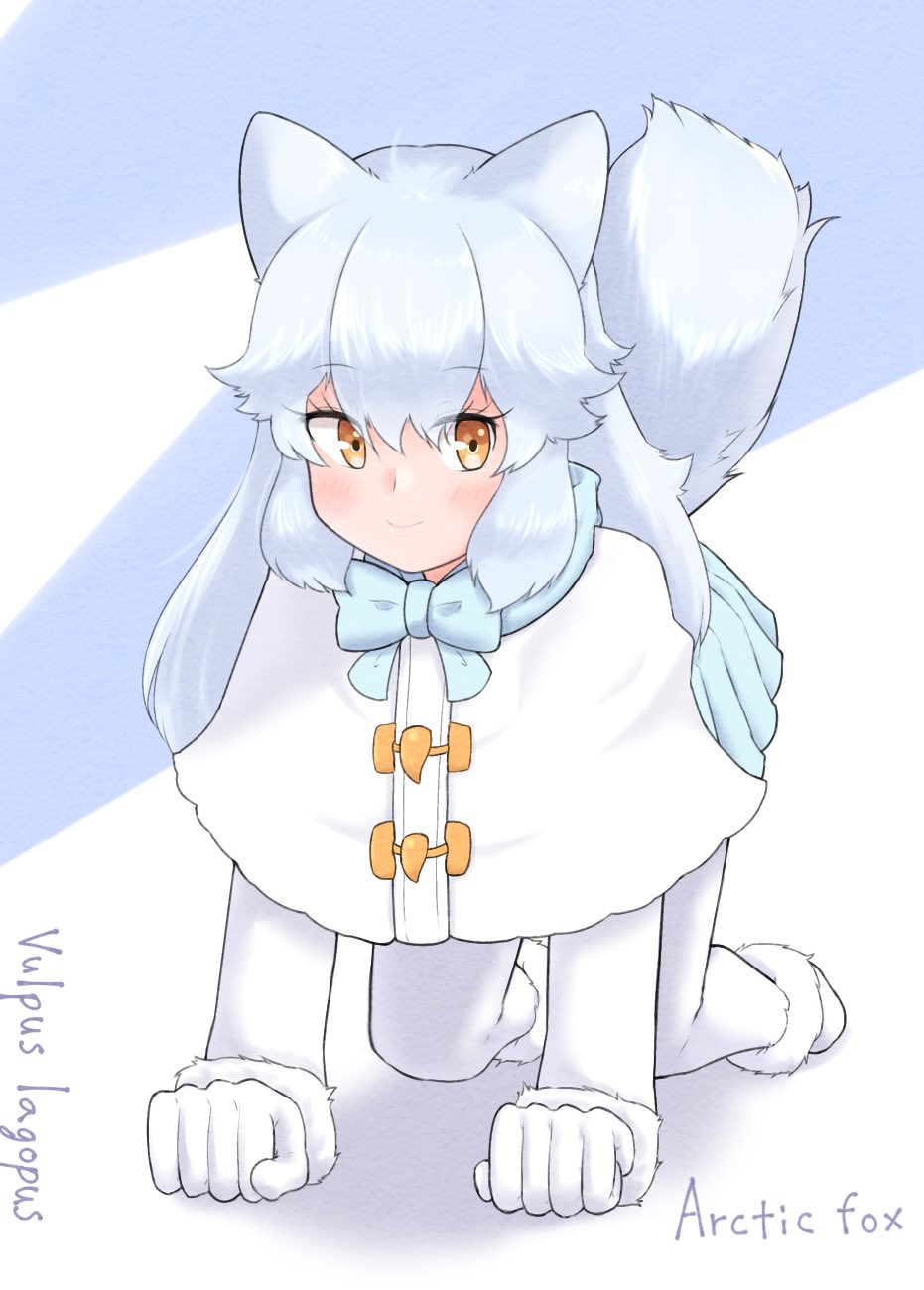 Safebooru - 1girl 38b48bfrm all fours animal ears arctic fox (kemono ...