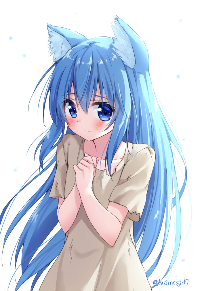 Safebooru - 1girl animal ear fluff animal ears bangs blue eyes blue hair blush brown dress cat ...