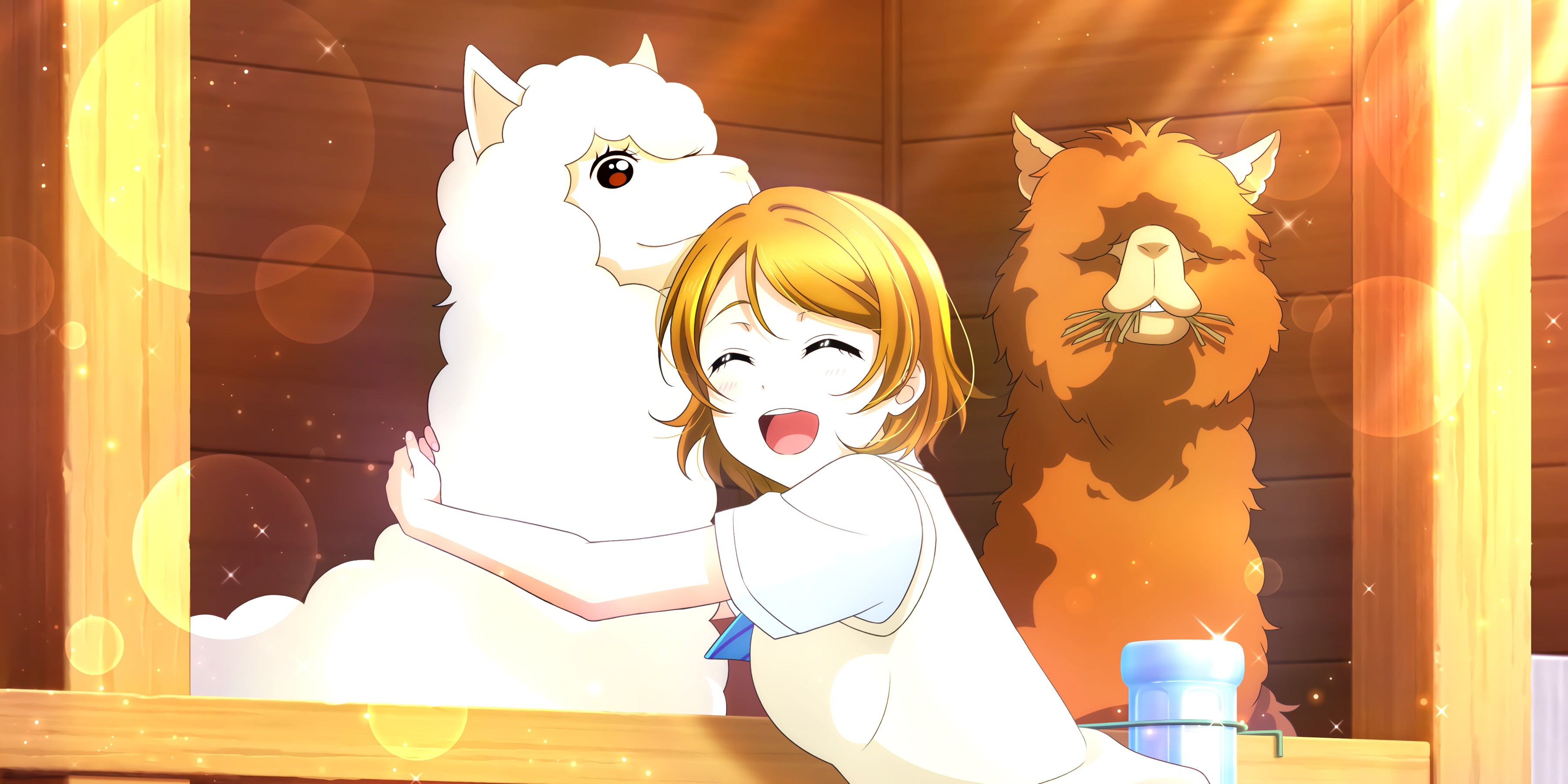 Safebooru - alpaca blush brown hair closed eyes dress koizumi hanayo love live! school idol ...