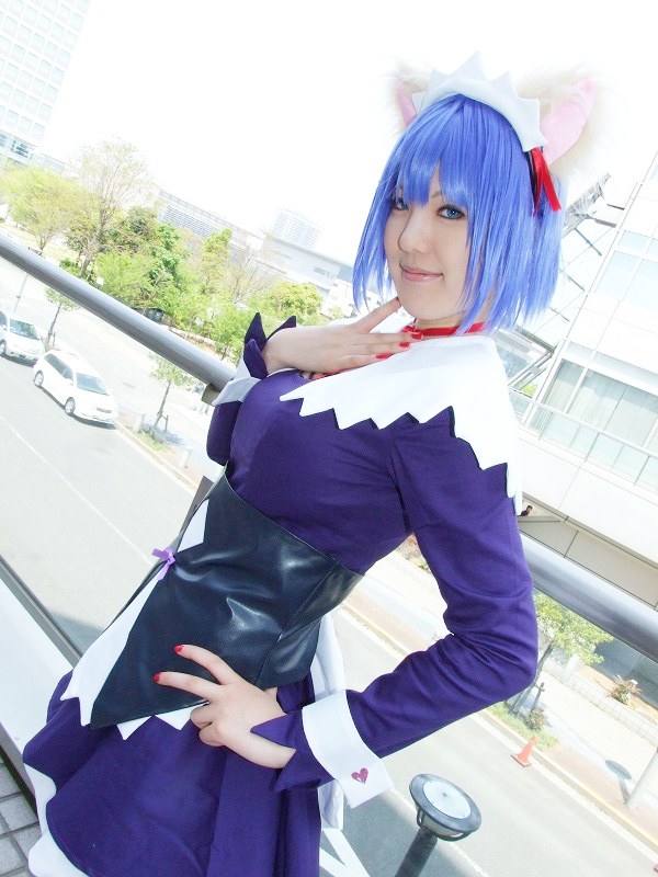 Safebooru - animal ears blue hair cat ears cosplay hair ribbons ...