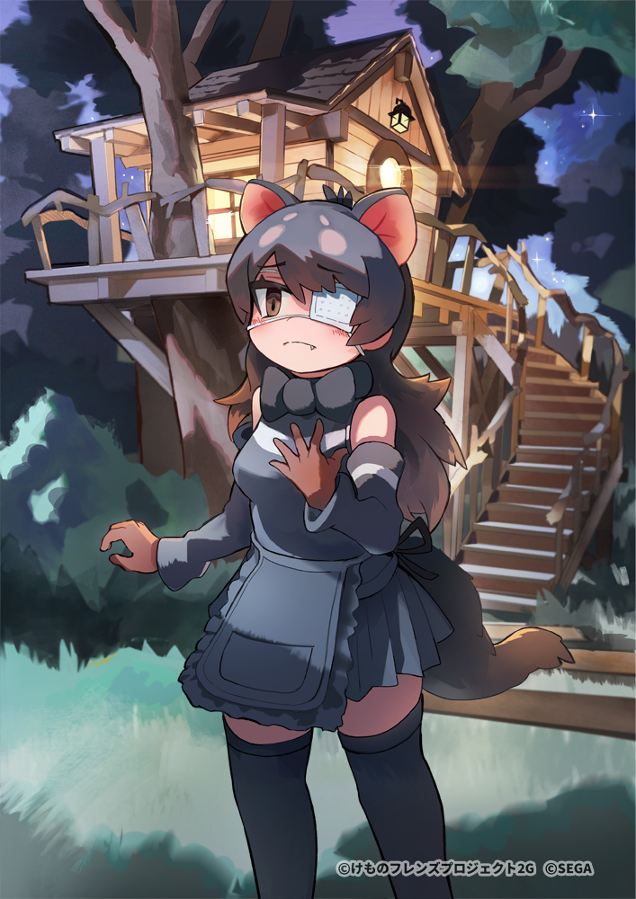 Safebooru - 1girl animal ears apron australian devil (kemono friends) bare shoulders black apron ...
