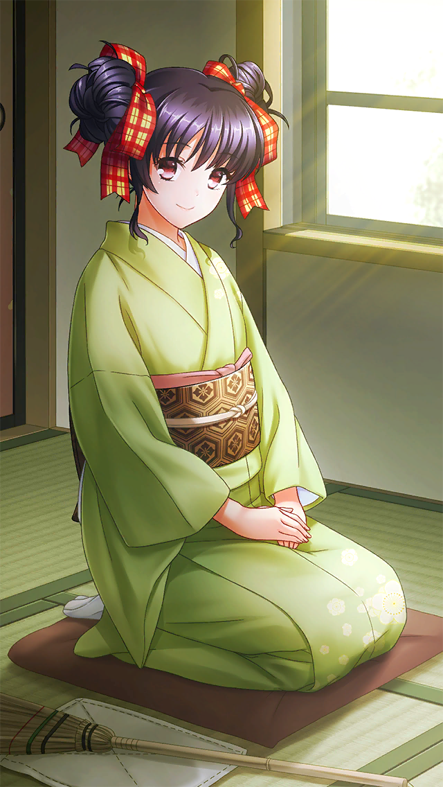 Safebooru - 1girl bangs black hair broom closed mouth double bun ...