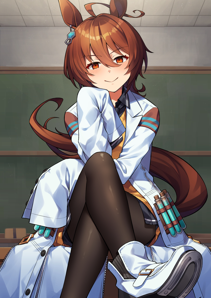 Safebooru - 1girl agnes tachyon (umamusume) ahoge animal ears black legwear brown eyes brown ...