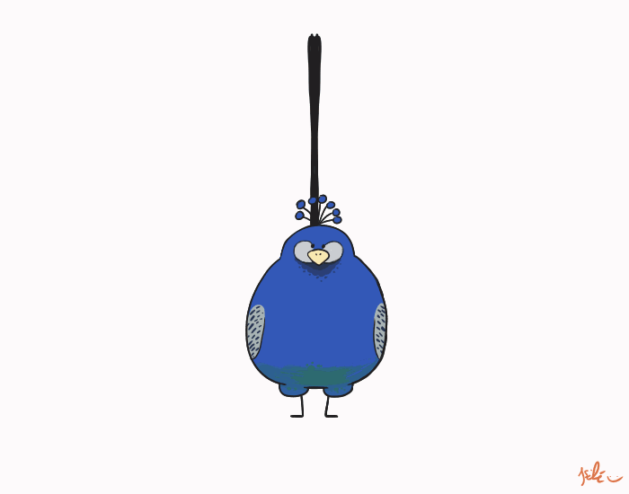 Safebooru - animal focus animated animated gif bird blue background ...