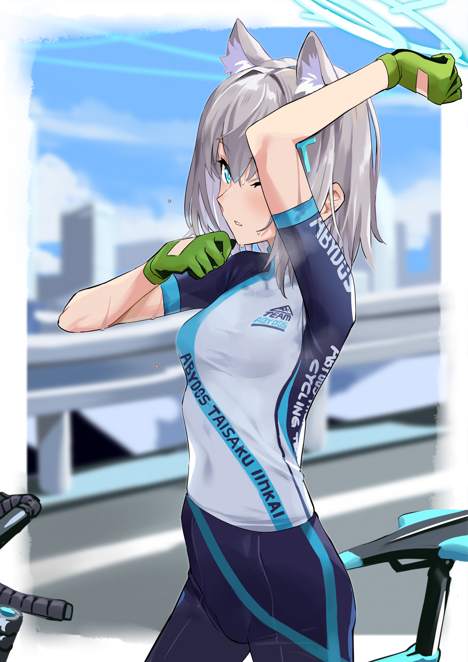 Safebooru - 1girl animal ear fluff animal ears arm up bangs bicycle bike jersey bike shorts blue ...