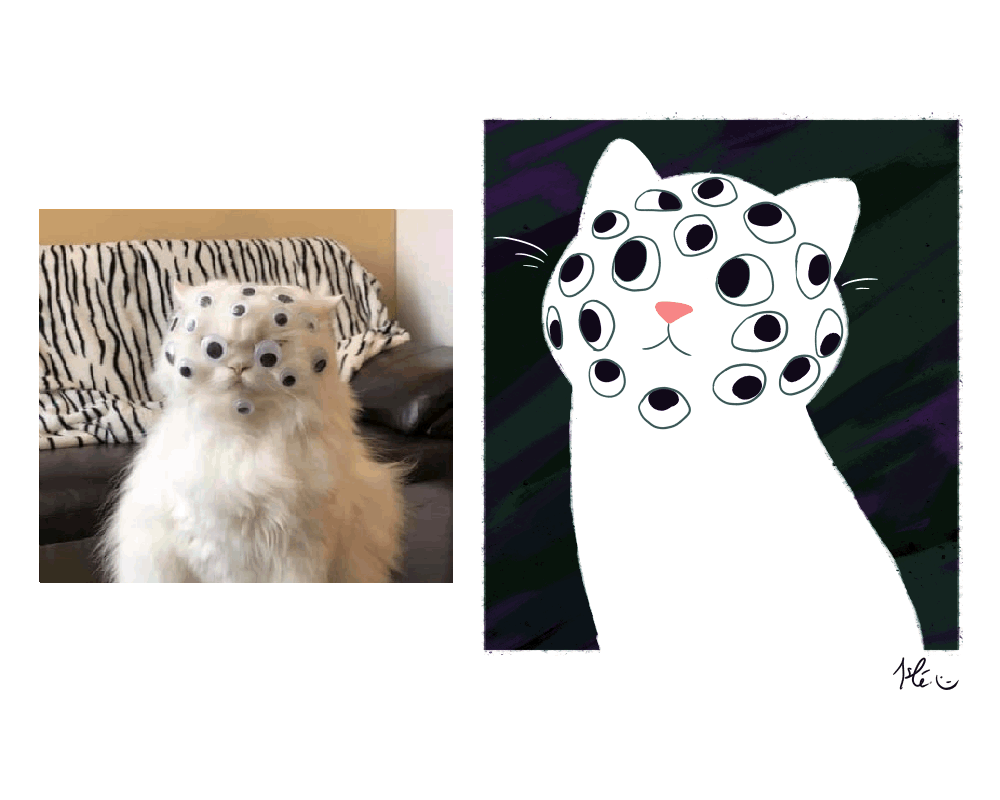 Safebooru - :3 animal focus animated animated gif blinking cat extra ...