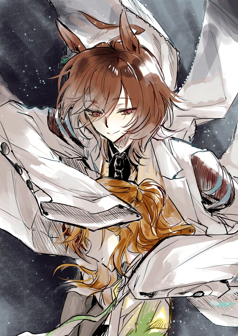 Safebooru - 2girls agnes tachyon (umamusume) ahoge animal ears black ...