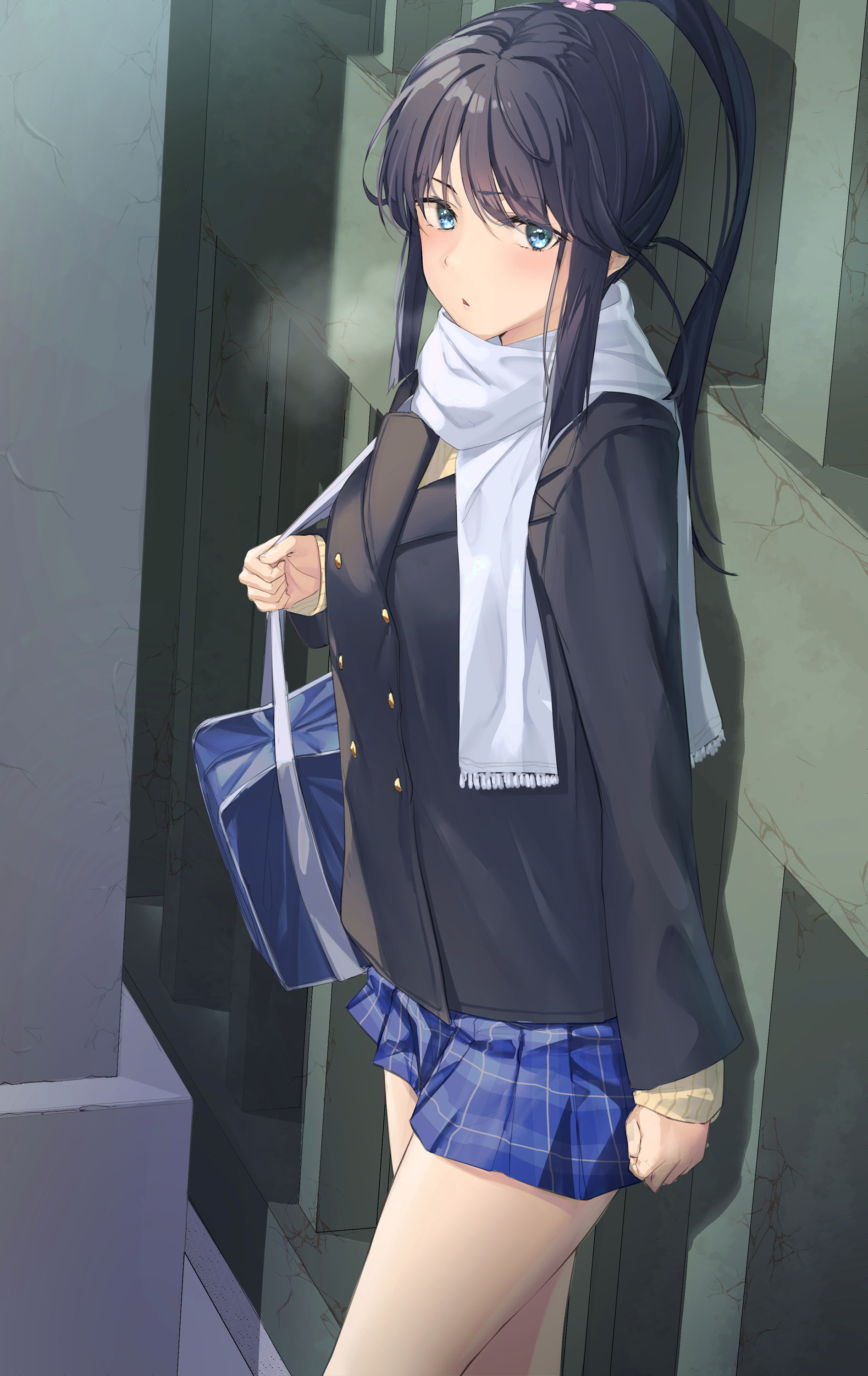 Safebooru - 1girl absurdres bag bangs black hair blue eyes blue skirt blush braid coat highres ...