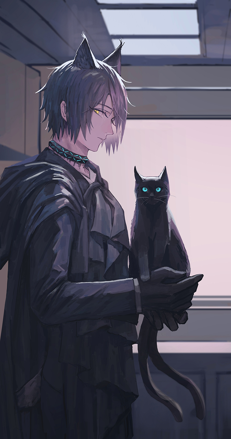 Safebooru - 1boy 76930502 animal ears arknights bishounen black cat black gloves blue eyes brown ...