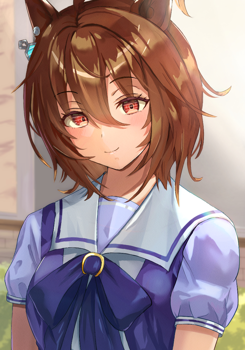 Safebooru - 1girl agnes tachyon (umamusume) ahoge animal ears bangs blush bow bowtie breasts ...