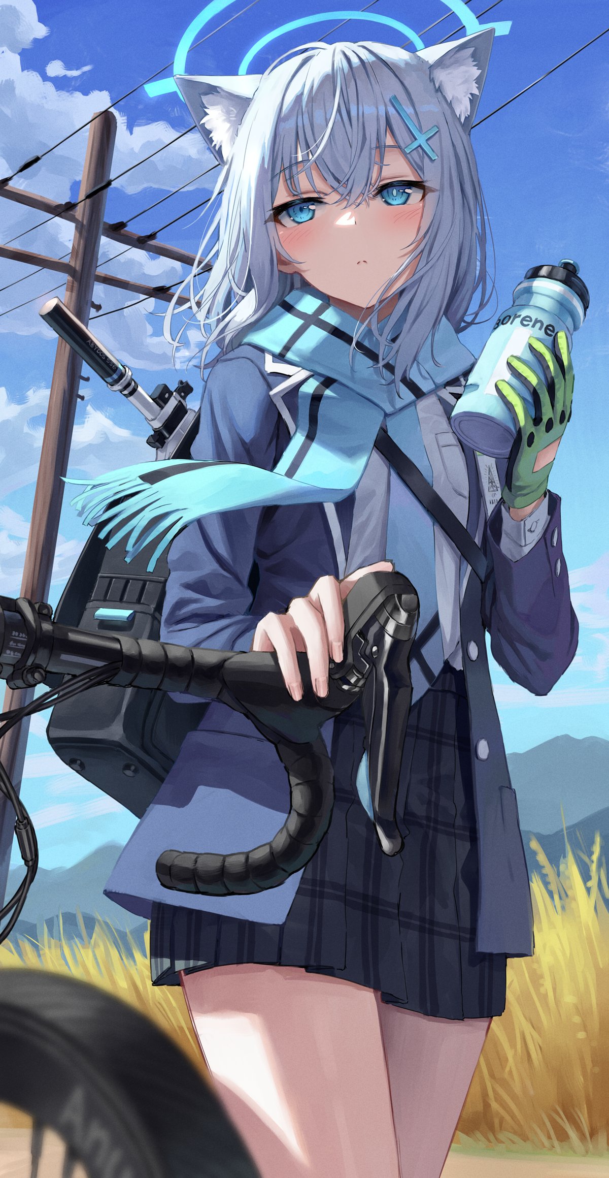 Safebooru - 1girl animal ear fluff animal ears bangs bicycle blue archive blue eyes blue jacket ...