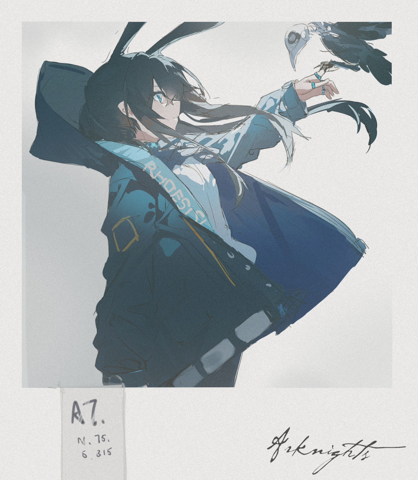 Safebooru - 1girl amiya (arknights) arknights bangs bird black hair black jacket black pantyhose ...