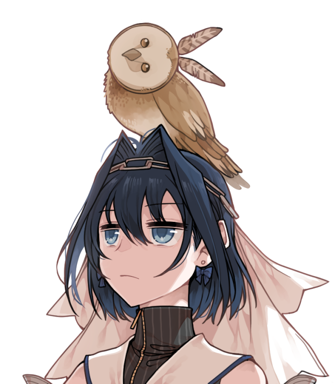 Safebooru - 1girl animal on head animalization bangs bird bird on head ...