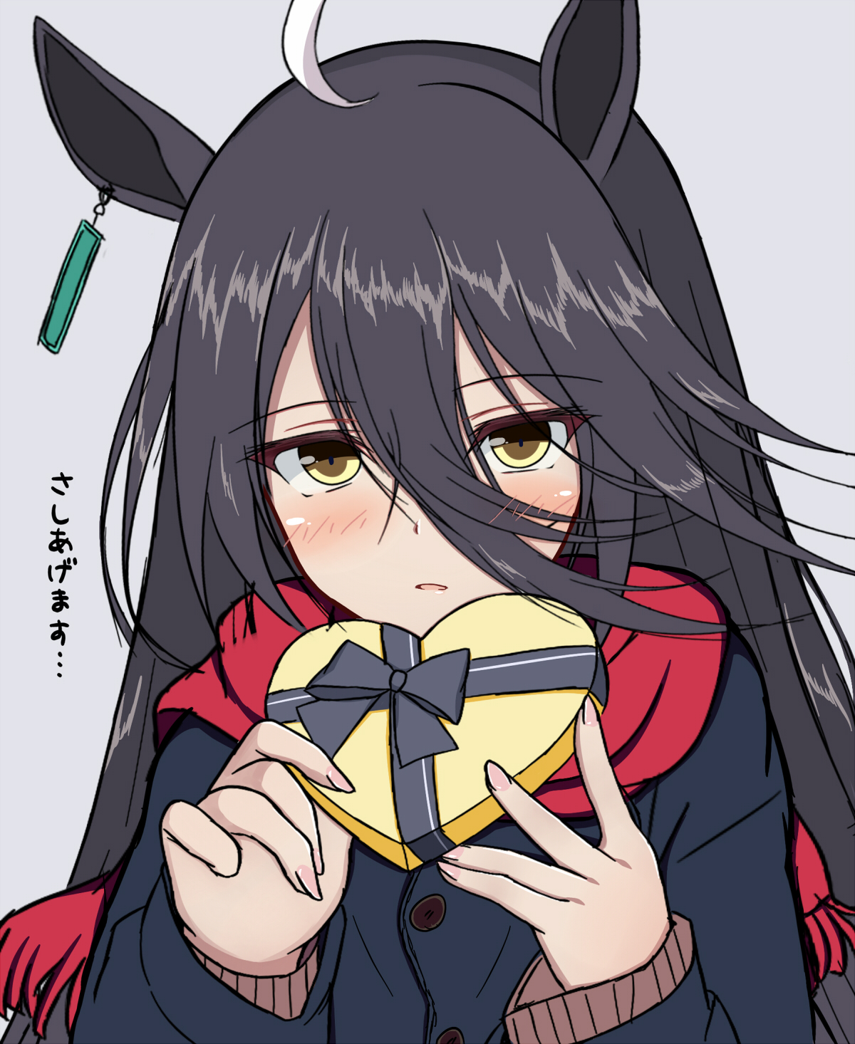 Safebooru - 1girl ahoge animal ears bangs black coat black hair blush box brown eyes coat ...