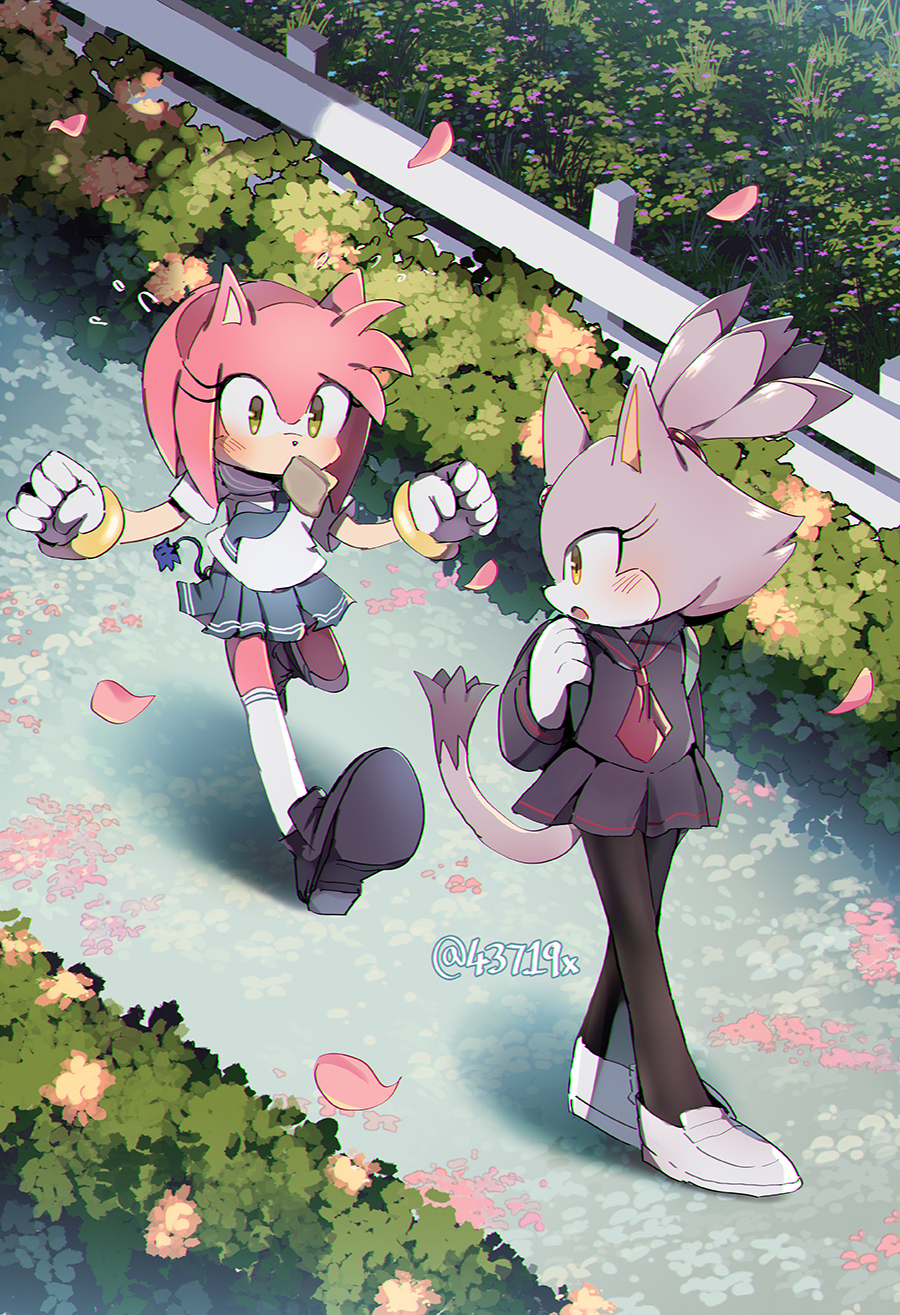 Safebooru - 2girls alternate costume amy rose animal ears black pantyhose blaze the cat blush ...