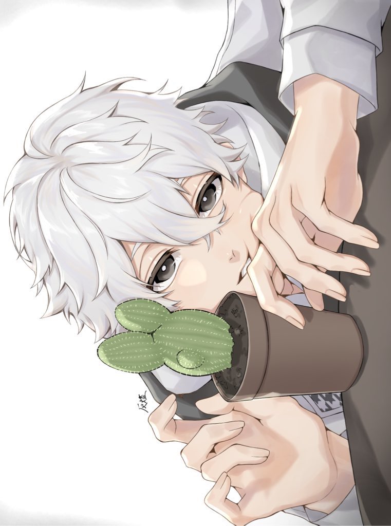 Safebooru - 1boy artist name black eyes blue lock cactus commentary ...
