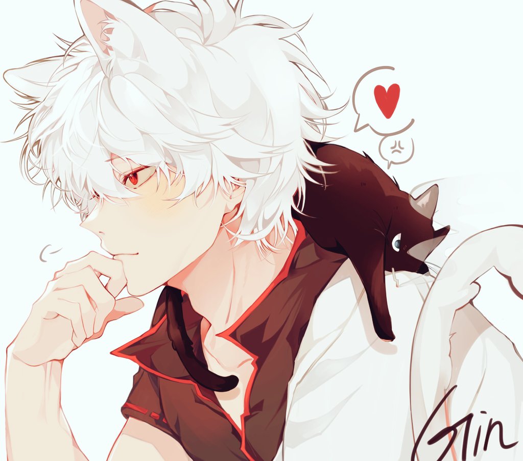 Safebooru - 1boy anger vein animal on shoulder annoyed black cat cat cat boy cat tail commentary ...