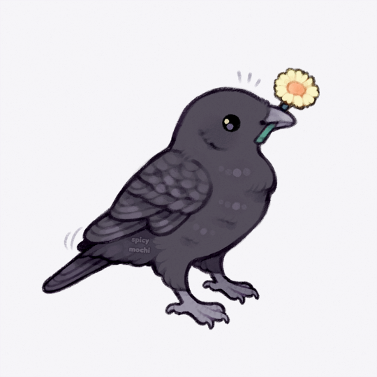 Safebooru - animal animal focus bird chibi crow flower flower in beak ...