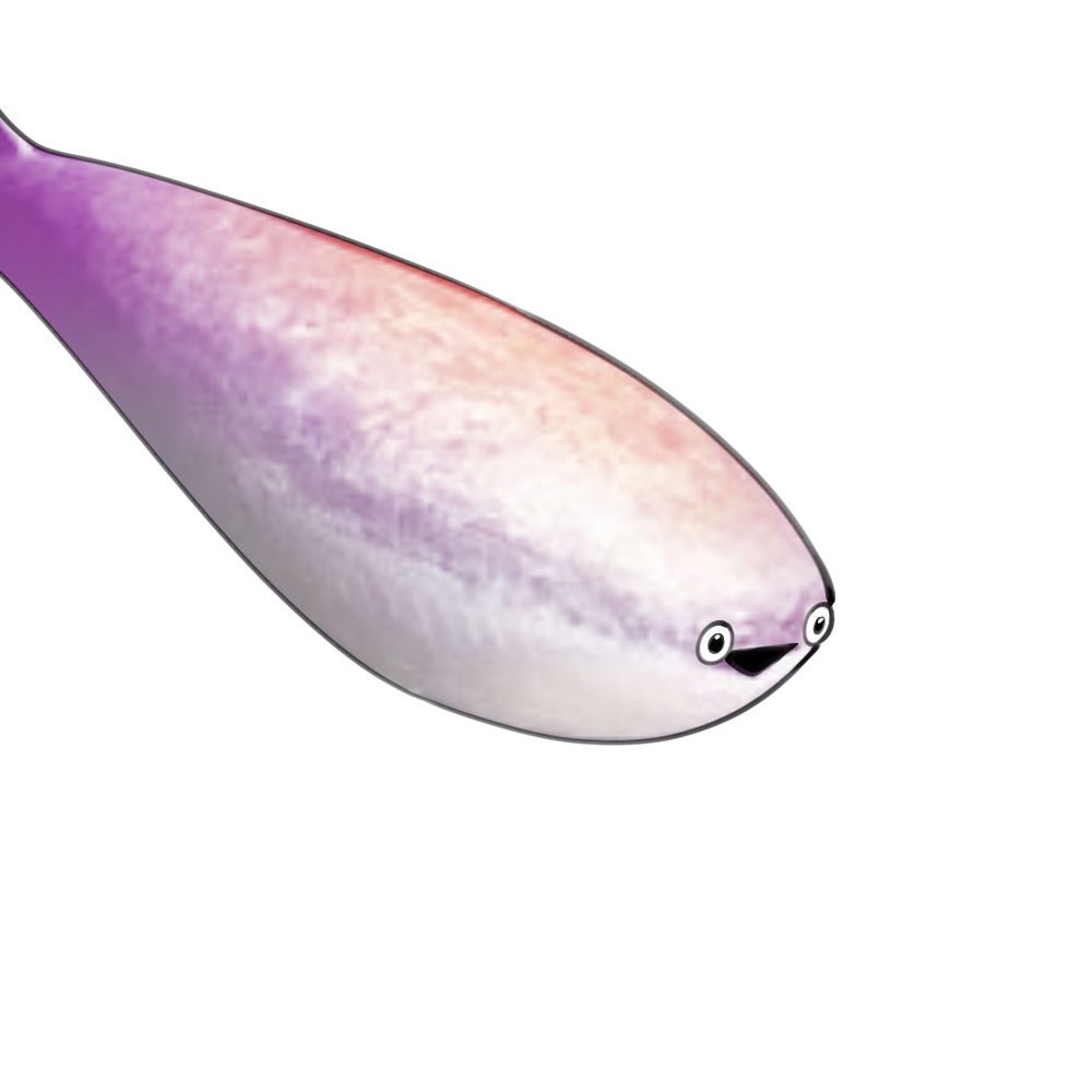 Safebooru - dismassd fish open mouth real life sacabambaspis simple ...