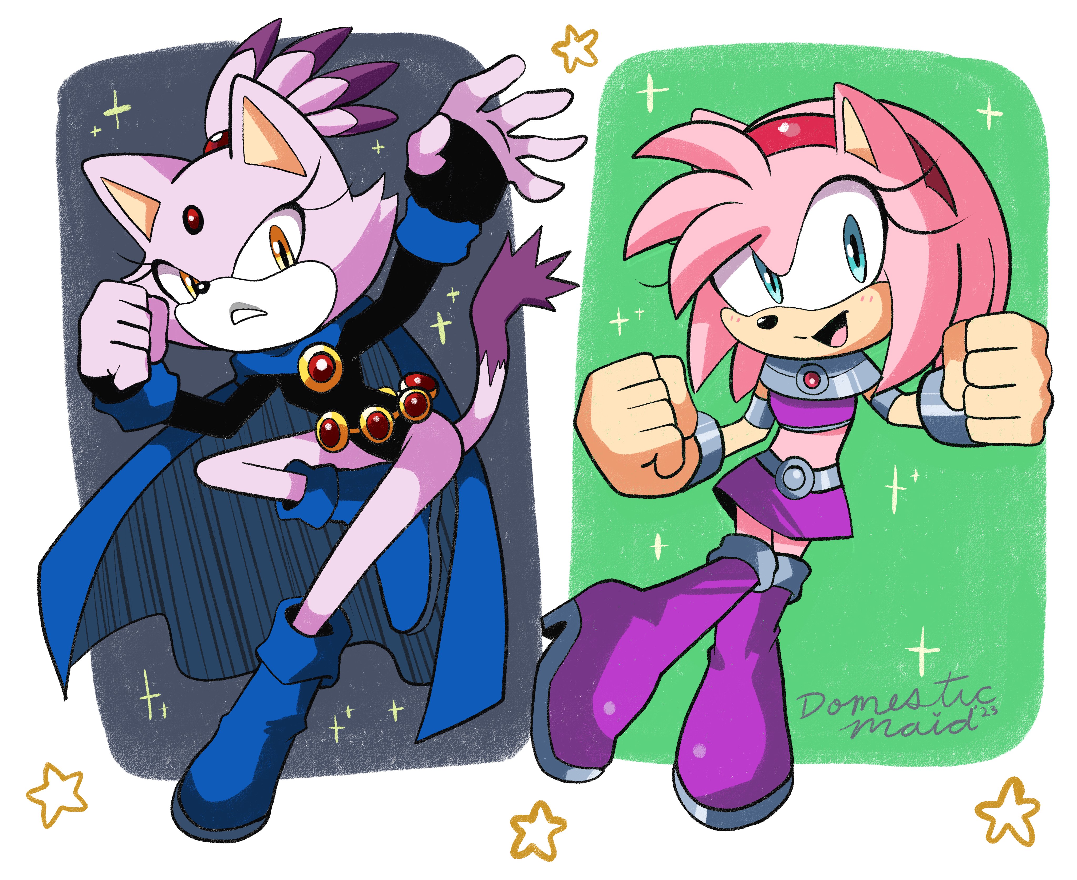 Safebooru - 2girls absurdres amy rose animal ears black leotard blaze the cat blue cape blue ...