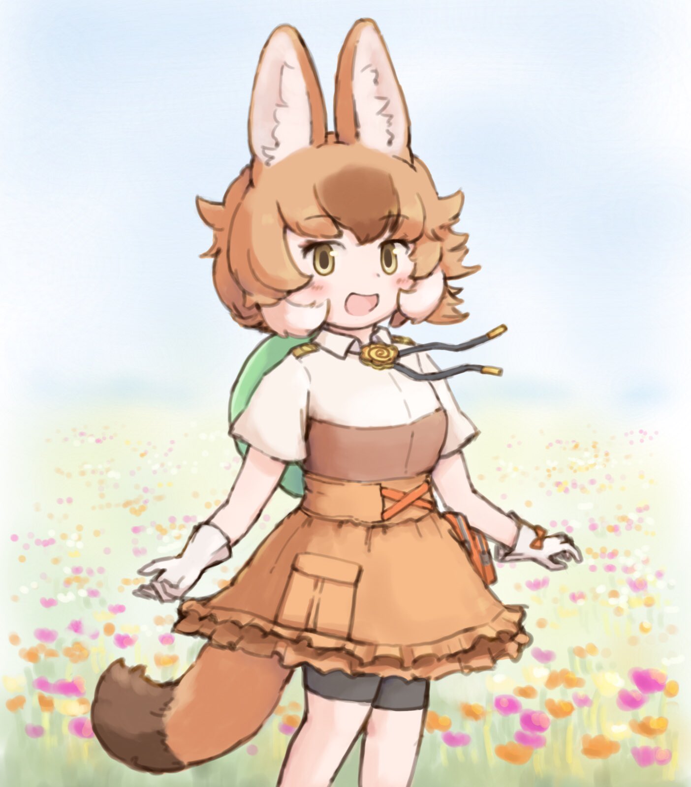 Safebooru - 1girl animal ears blue sky brown eyes brown hair dhole ...