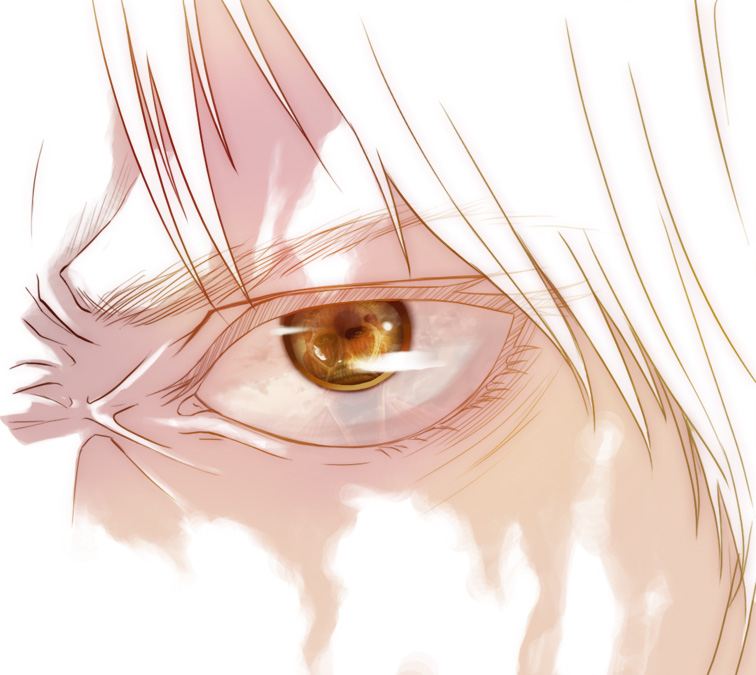 Safebooru - 1boy brown eyes brown theme close-up colossal titan ...