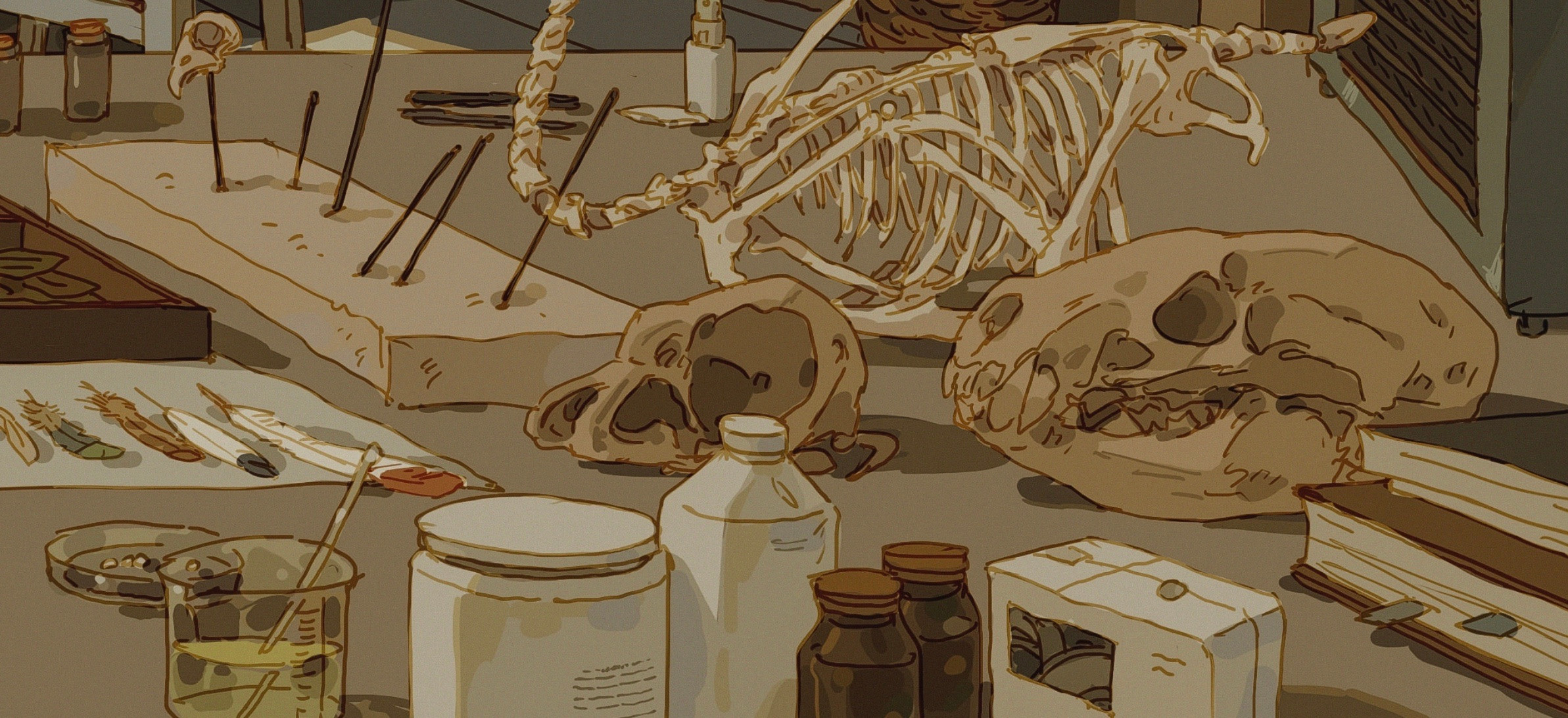 Safebooru - ambiguous yellow liquid animal skeleton animal skull avian ...