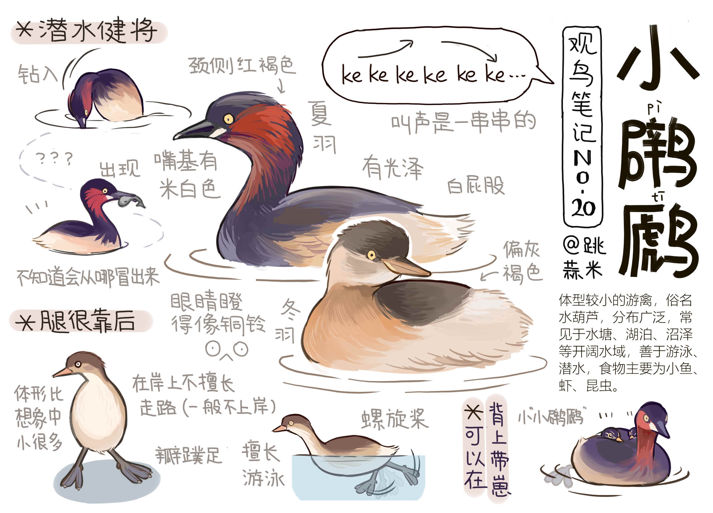 Safebooru - ? ?? animal animal focus bird chinese commentary chinese text commentary request ...