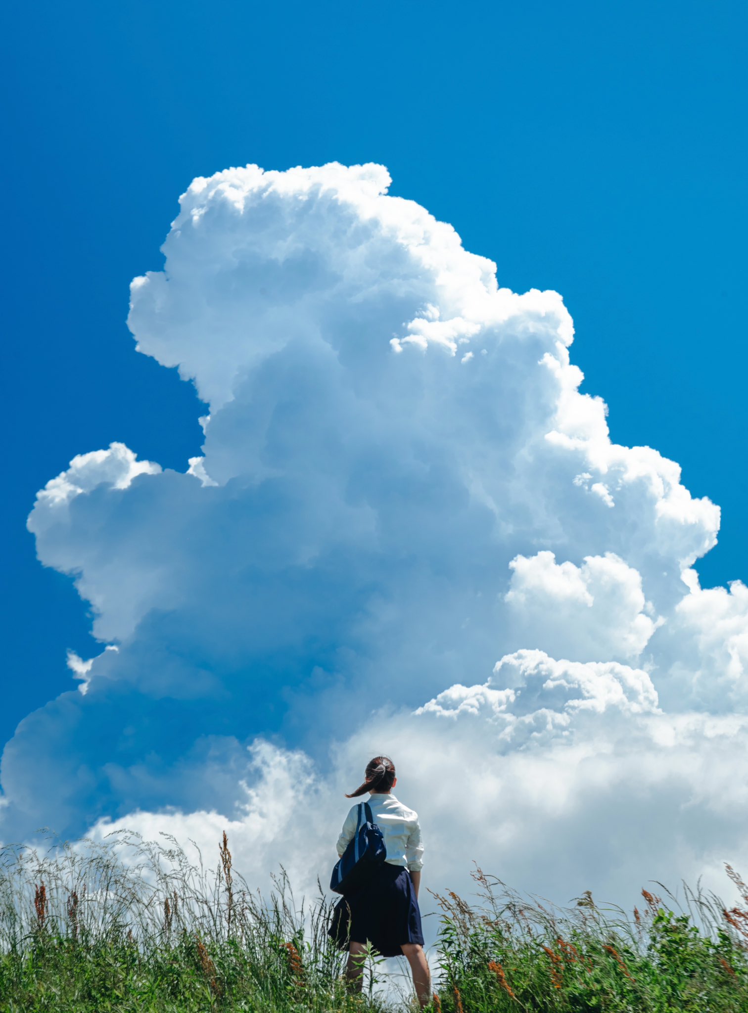 Safebooru - 1girl bag black hair blue bag blue skirt clouds cloudy sky commentary request ...
