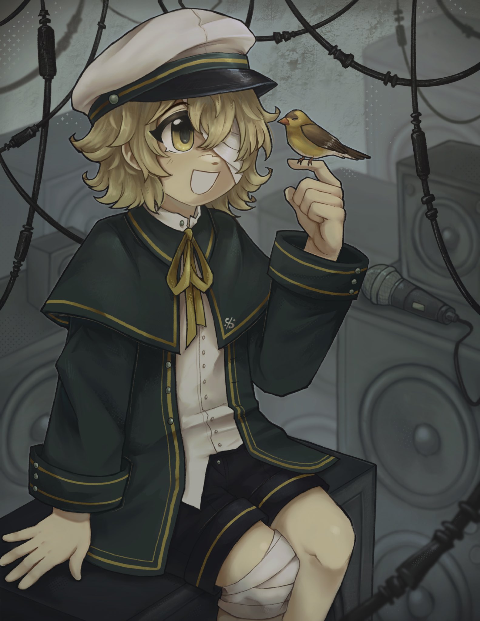 Safebooru - 1boy amplifier animal bandage over one eye bandaged leg bandages bird bird on hand ...