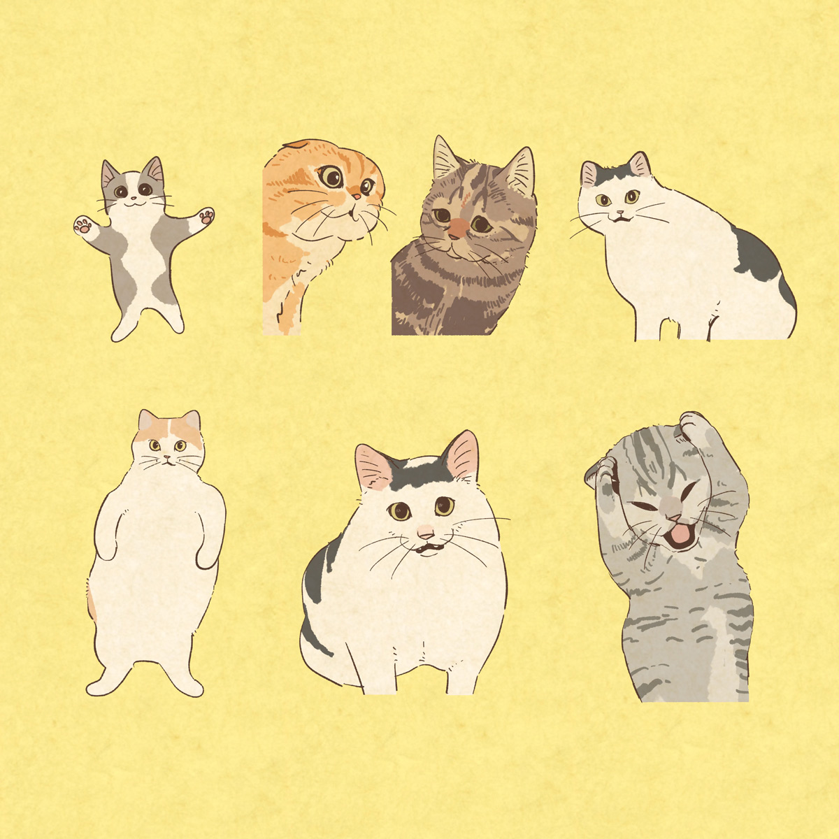 Safebooru - animal animal focus cat cat covering ears (meme) closed ...