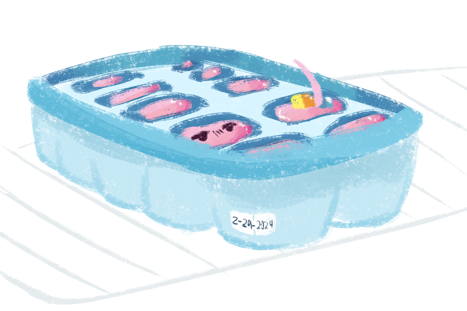 Safebooru - bocchi the rock! bocchidaily commentary cube hair ornament ...