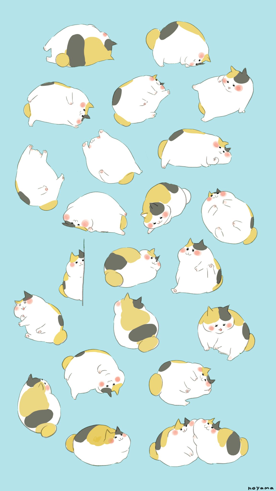 Safebooru - animal focus artist name blue background calico cat cat fat ...