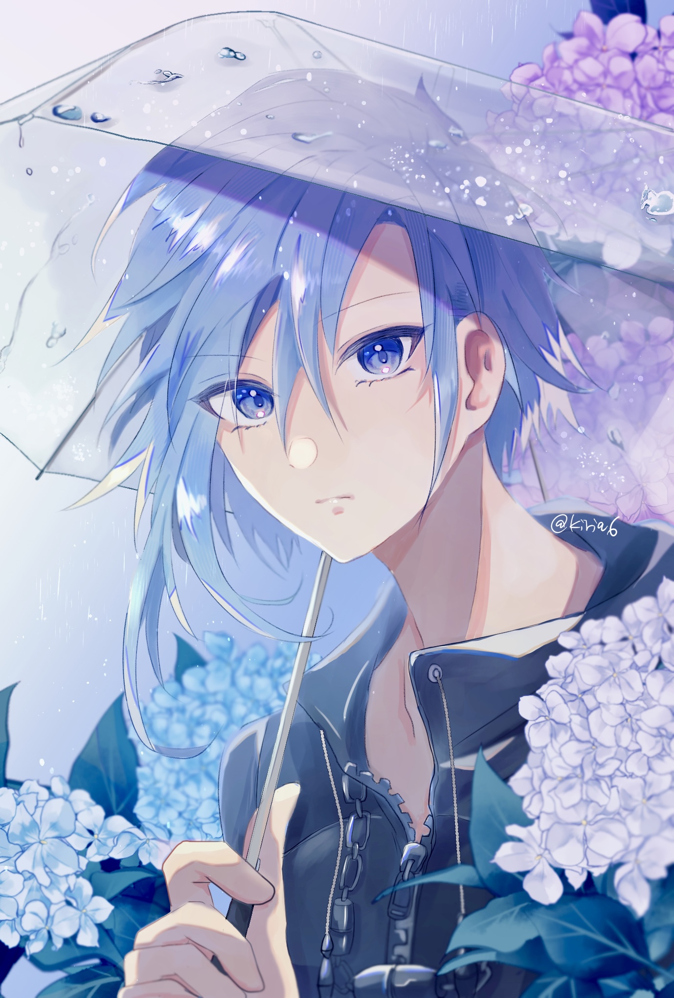 Safebooru - 1boy asymmetrical hair bishounen black coat (kingdom hearts) blue eyes blue flower ...