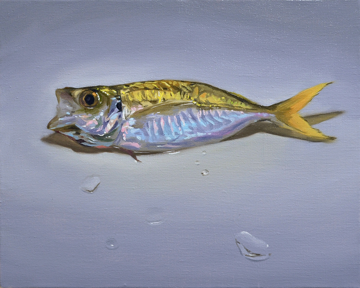 Safebooru - animal fish from side grey background naoya ohtani no ...