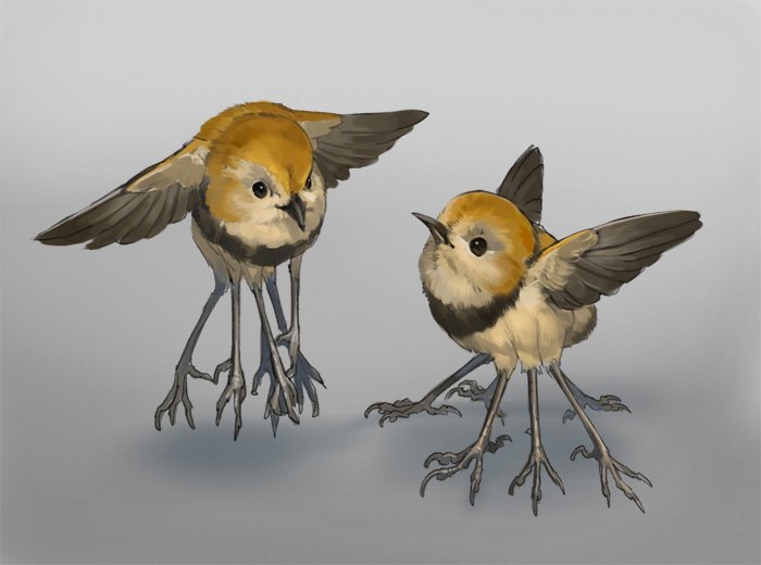 Safebooru - animal focus bird black eyes creature extra legs from above ...