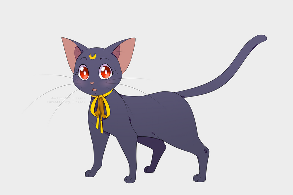 Safebooru - :o animal focus azzai bishoujo senshi sailor moon black cat ...