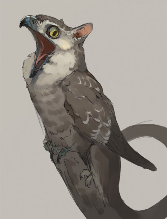 Safebooru - animal focus beak bird wings brown background chimera claws commentary request ...