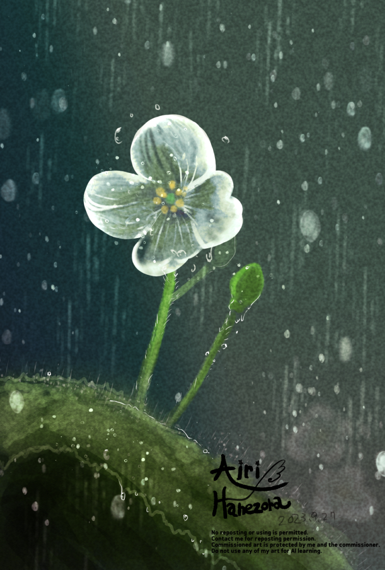 Safebooru - airihanezora artist name clip studio paint (medium) flower ...