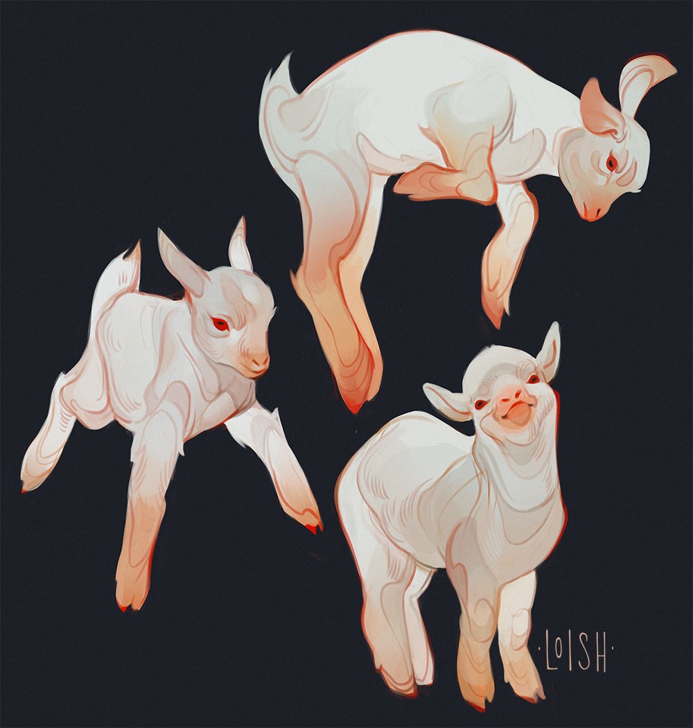 Safebooru - albino animal animal focus artist name black background english commentary goat ...