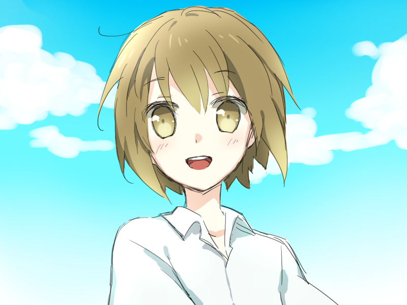 Safebooru - 1boy blue sky brown eyes doll (game) light brown hair male ...